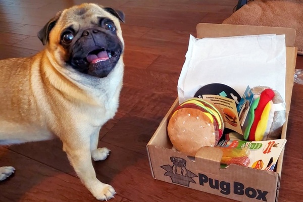 The Ultimate List of Dog Subscription Boxes 2022
